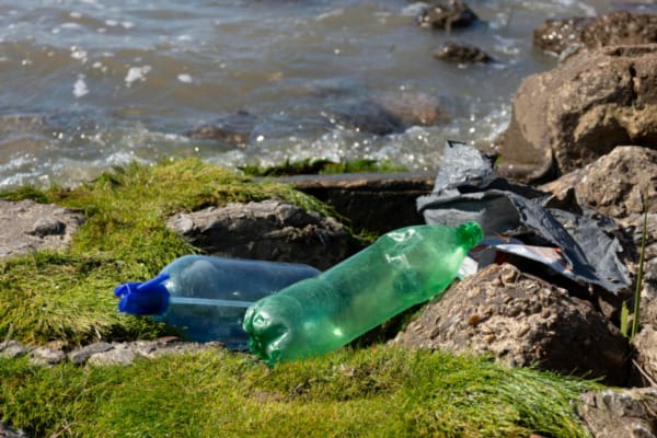 The Environmental Impact of Bottle Recycling: Why It Matters - CLYNK